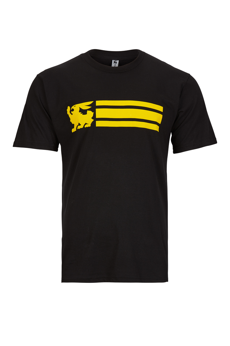 TEES – Terlingua Racing Team